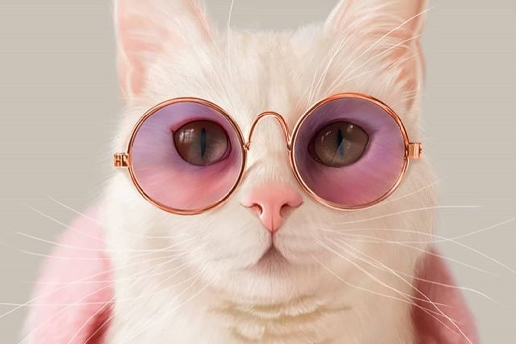 Najmoderniji profil na Instagramu pripada – mačku!